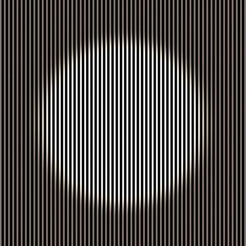 Elastic Recordings - Toronto Independent Record Label - Albums